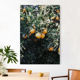 Bilderwelten Akustikbild | Wandbild schallabsorbierend - Italienische Orangen
