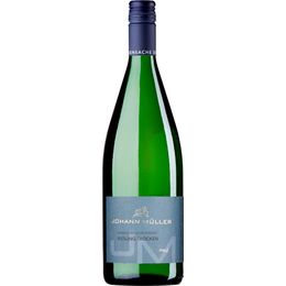 Weingut Johann M&uuml;ller Weingut Johann M&uuml;ller 1,0 L Riesling 2025 Trocken - Hambacher Schlo&szlig;berg Pfalz &ndash; Wei&szlig;wein Qualit&auml;tswein