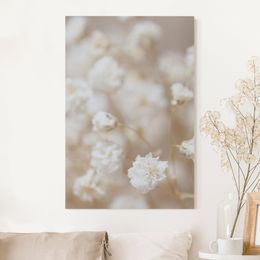 Bilderwelten Akustikbild | Wandbild schallabsorbierend - Bl&uuml;tentr&auml;ume in Creme