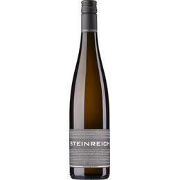Weingut Johann M&uuml;ller Weingut Johann M&uuml;ller STEINREICH Riesling 2025 Halbtrocken - Hambacher Schlo&szlig;berg Pfalz &ndash; Wei&szlig;wein Qualit&auml;tswein