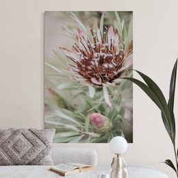 Bilderwelten Akustikbild | Wandbild schallabsorbierend - Trockenblume in Rosa und Gr&uuml;n