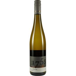 Weingut Schmidt "All in One" Riesling 2024 Trocken - Silberberg, Schlo&szlig;berg, Langh&ouml;lle, Gei&szlig;enkopf Nahe &ndash; Wei&szlig;wein Qualit&auml;tswein