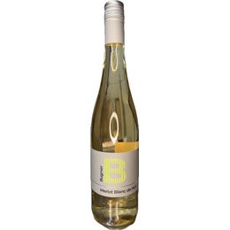 Weingut Bugner Merlot 2024 Trocken - Rheinhessen &ndash; Blanc de Noir Qualit&auml;tswein