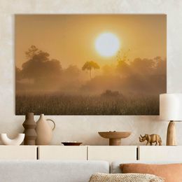 Bilderwelten Akustikbild | Wandbild schallabsorbierend - Kenia Savannenlandschaft im Morgennebel