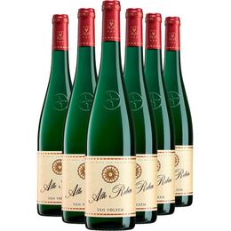 Weingut Van Volxem Alte Reben -Paket Riesling 2024 Trocken - Mosel &ndash; Probierpaket Qualit&auml;tswein