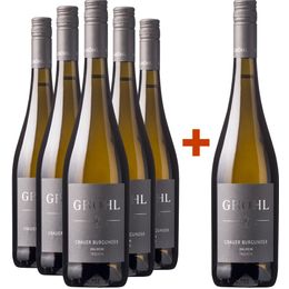 Weingut Eckehart und Johannes Gr&ouml;hl 5+1 Dalheimer -Paket Grauburgunder 2024 Trocken - Rheinhessen &ndash; Probierpaket Qualit&auml;tswein