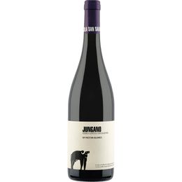 Azienda Agricole San Salvatore Jungano Aglianico 2021 Trocken - Kampanien &ndash; Rotwein Keine Angabe