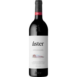 Bodegas La Rioja Alta &Aacute;ster Crianza 1,5 L Tempranillo 2019 Trocken - &ndash; Rotwein Keine Angabe