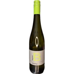 Weingut Bugner Riesling 2024 Trocken - Rheinhessen &ndash; Wei&szlig;wein Qualit&auml;tswein
