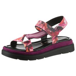 Riemchensandale Tamaris, Damen, Gr. 41, bunt (multi), Textil, Schuhe Riemchensandale, Plateau, Sommerschuh, Sandalette mit Touch It-Ausstattung