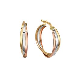 Diamonds by Ellen K. Fascination by Ellen K. Ohrringe Gold 333 dreifarbig 20mm Durchmesser