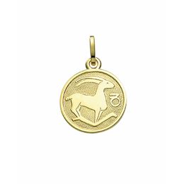 Adelia&acute;s Kettenanh&auml;nger ADELIA&acute;S, gold, Schmuckanh&auml;nger, Damen, Steinbock, Gelbgold 333 Gold, Gelbgold 333, Gold, Kettenanh&auml;nger, Goldschmuck f&uuml;r Damen & Herren