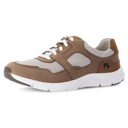 Keilsneaker Pius Gabor, Herren, Gr. 11,5 (46,5), beige (beige kombiniert), Mesh, Nubukleder, Schuhe, Schn&uuml;rschuh, Halbschuh, Freizeitschuh in bequemer Weite G (=weit)