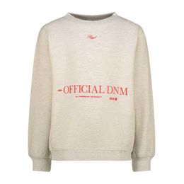 Raizzed Sweatshirt "Nofficial" in Beige - 52% | Gr&ouml;&szlig;e 140 | Kinder-sweatshirts-jacken