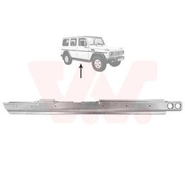 Van Wezel Einstiegblech 3098104 rechts