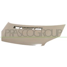 PRASCO Motorhaube fd9123100 f&uuml;r Ford