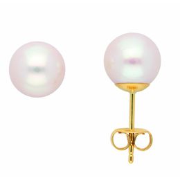Adelia&acute;s Paar Ohrh&auml;nger ADELIA&acute;S, gold, Ohrringe, Damen, Damen, Gelbgold 333 Gold Perlen, Gelbgold 333, Gold, Perlen, mit S&uuml;&szlig;wasser Zuchtperle Goldschmuck f&uuml;r Damen