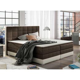 Pharao24.de Boxbett Polsterbett mit Bezug in Braun