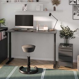 Pharao24.de Schreibtisch B&uuml;rotisch in modernem Design h&ouml;henverstellbar (zweiteilig)
