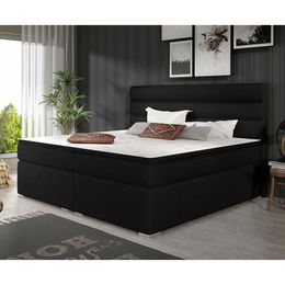 Pharao24.de Doppelbett Boxbett in Schwarzbraun aus Webstoff