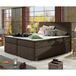 Pharao24.de Doppelbett Bett Funktion in Braun mit Bettkasten