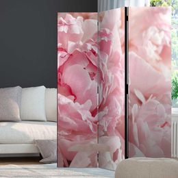 Pharao24.de Trennwand Sichtschutz mit Pfingstrosen Motiv Rosa und Pink
