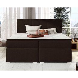 Pharao24.de Doppelbett Polsterbett in Dunkelbraun aus Webstoff