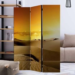 Pharao24.de Moderne Trennwand aus Leinwand und Massivholz W&uuml;sten Print