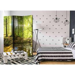 Pharao24.de Paravent Raumteiler mit Wald Motiv 3-teilig