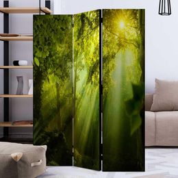 Pharao24.de Naturmotiv Paravent blickdichte Leinwand 135 oder 225 cm breit