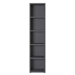 Pharao24.de B&uuml;ro Standregal in Dunkelgrau 45 cm breit