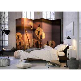 Pharao24.de Spanische Wand mit Pusteblumen Wiese 225 cm breit
