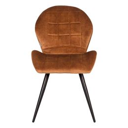 Pharao24.de Polsterstuhl Esszimmer in Ocker Velours (2er Set)