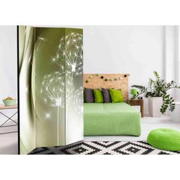 Pharao24.de Paravent mit Pusteblumen aus Leinwand
