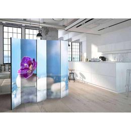 Pharao24.de Spanischer Raumteiler mit Spa Motiv 225 cm breit