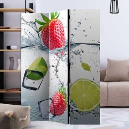 Pharao24.de Paravent Stellwand in Bunt Obst Motiv