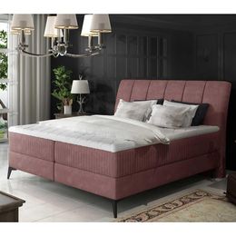 Pharao24.de Boxbett Doppelbett aus Velours in Rosenholz