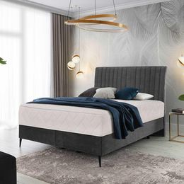 Pharao24.de Springboxbett Doppelbett aus Velours in Dunkelgrau