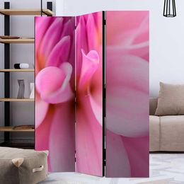 Pharao24.de Sichtschutz Wand in Pink und Rosa Nahaufnahme Dahlie