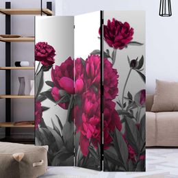 Pharao24.de Paravent Blumenmotiv in Pink und Grau Pfingstrosen
