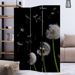 Pharao24.de Moderne Sichtschutzwand mit Pusteblumen Motiv Schwarz Gr&uuml;n Weiss
