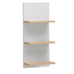 Pharao24.de H&auml;ngeregal Wand Regal mit R&uuml;ckwand in rechteckiger Form