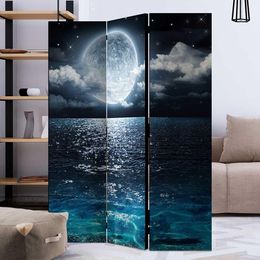 Pharao24.de Blickdichter Raumtrenner mit Motiv Ozean und Vollmond in