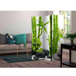 Pharao24.de Spanische Wand im Zen Design gr&uuml;nem Bambus und schwarzen Steinen