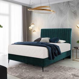 Pharao24.de Boxspringbett Stoffbett in Petrol aus Webstoff