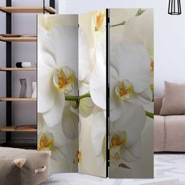 Pharao24.de Spanische Wand mit Orchideen Motiv Wei&szlig; und Gelb