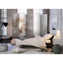 Pharao24.de Trennwand Paravent mit Pusteblume in Nahaufnahme Beige und Grau