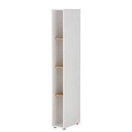 Pharao24.de Schmales B&uuml;ro Ordnerregal 20 cm breit 40 cm tief