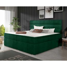 Pharao24.de Bett Polsterbett in Dunkelgr&uuml;n aus Velours
