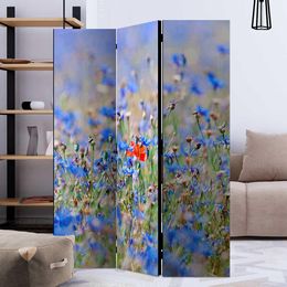 Pharao24.de Foto Paravent mit Blumenwiese Motiv Landhausstil